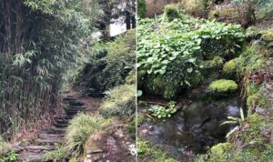 William Wordsworth Gardens – Poet And Landscape Designer