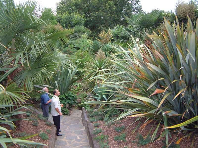 Garden Design Portfolio of Paramount Plants & Gardens