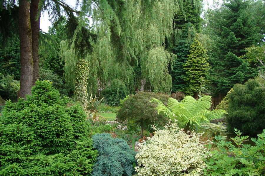 Garden Design Portfolio of Paramount Plants & Gardens