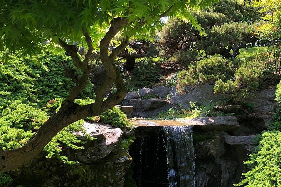 Garden Design Portfolio of Paramount Plants & Gardens