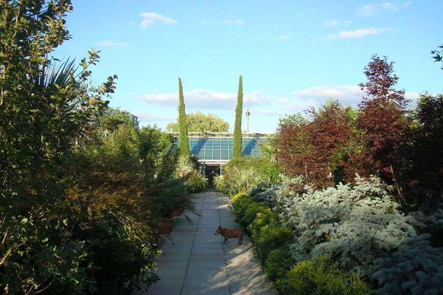Garden Design Portfolio of Paramount Plants & Gardens