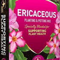 Westland Ericaceous Planting and Potting Mix 10L Buy Online