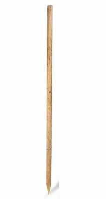 Wooden Tree Stakes - For Protecting Trees Buy UK